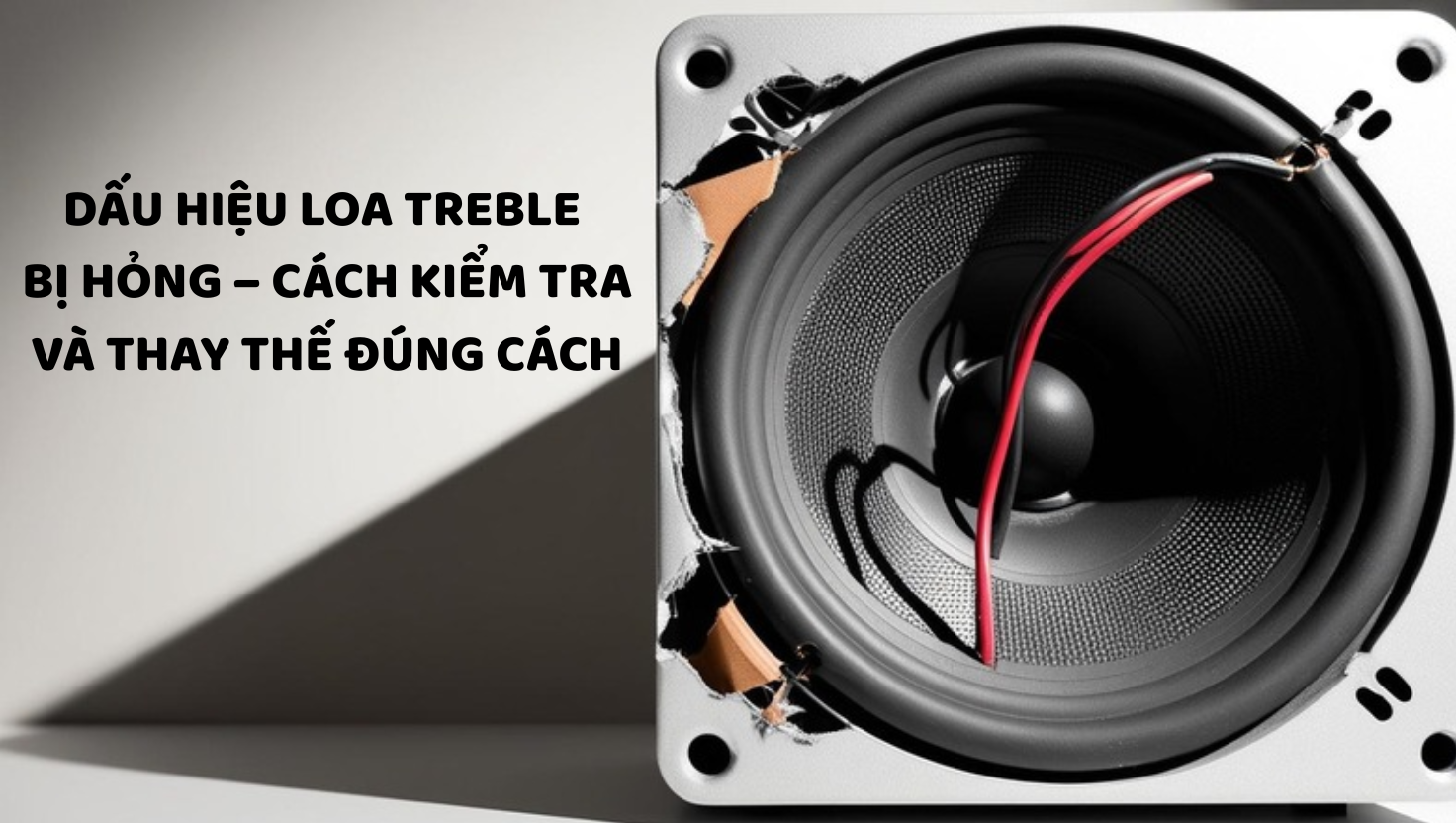 DẤU HIỆU LOA TREBLE BỊ HỎNG – CÁCH KIỂM TRA VÀ THAY THẾ ĐÚNG CÁCH